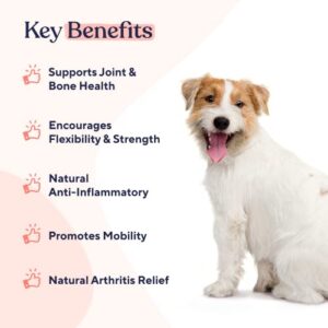 Pawfy Dog Hip & Joint Soft Chews - Total Joint Care | Anti-Inflammatory | Arthritis Relief | Strength & Flexibility | Natural Recovery | with Glucosamine + Chondroitin