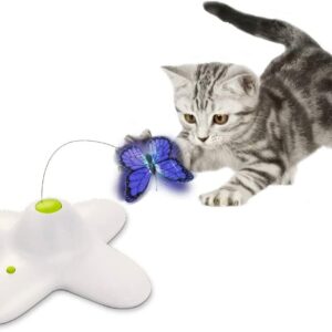 ALL FOR PAWS Interactive Cat Toy, Butter-Fly Cat Toys Interactive for Indoor Cats,Flutter Bug Cat Toys,Flutter Rotating Kitten Toys with 2 Replacements