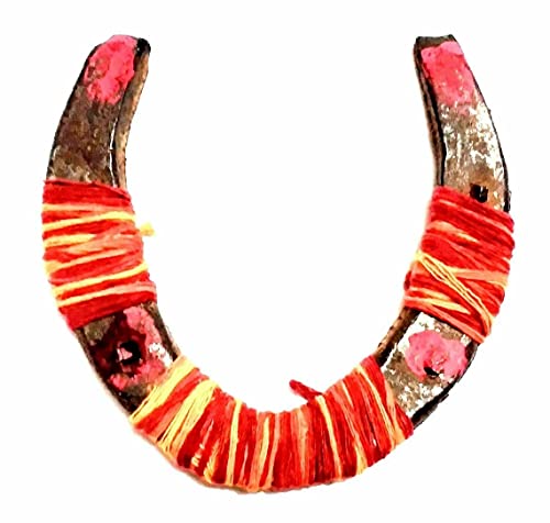 Billion Deals Authentic Feng Shui Cast Iron Real Horseshoe With Kalwa Iron Shoe Kale Ghode ki Naal For Good Luck Charm Rustic Lucky Positive Energy