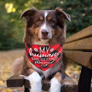 4. Hujiao-Zi My Humans are Getting Wedding Married,Red Plaid Dog Scarf, Dog Bandana，Wedding Dog Bandana, Wedding Photo Prop,Pet Dog Lovers Gifts