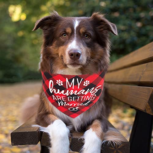 4. Hujiao-Zi My Humans are Getting Wedding Married,Red Plaid Dog Scarf, Dog Bandana，Wedding Dog Bandana, Wedding Photo Prop,Pet Dog Lovers Gifts