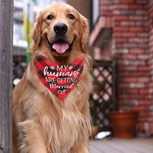 4. Hujiao-Zi My Humans are Getting Wedding Married,Red Plaid Dog Scarf, Dog Bandana，Wedding Dog Bandana, Wedding Photo Prop,Pet Dog Lovers Gifts