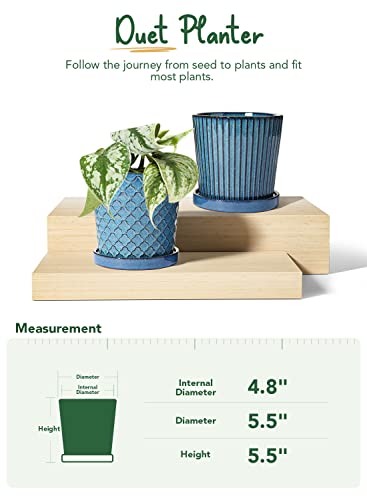 LE TAUCI Plant Pots, 5.5 Inch Pots for Indoor Plants, Planters with Drainage Hole and Saucer for Home or Office, Flower Pots for Succulent, Snake Plants and Cactus, Set of 2, Reactive Glaze Blue