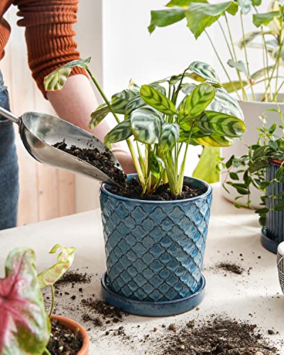 LE TAUCI Plant Pots, 5.5 Inch Pots for Indoor Plants, Planters with Drainage Hole and Saucer for Home or Office, Flower Pots for Succulent, Snake Plants and Cactus, Set of 2, Reactive Glaze Blue