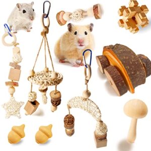 wepets hamster toys, for hamster, gerbils, mice, rats and other small animals to chew and play with, induce them to grind their teeth, reduce depression. (pattern-c)