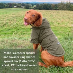 DJANGO Highland Dog Jacket and Raincoat - Water-Repellent, Windproof, and Harness-Friendly Hooded Winter Dog Coat and Raincoat with Adjustable Drawstrings and Gunmetal Hardware (Small, Olive Green)