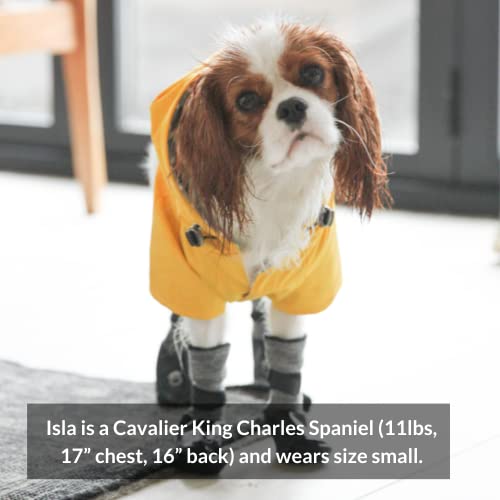 DJANGO Highland Dog Jacket and Raincoat - Water-Repellent, Windproof, and Harness-Friendly Hooded Winter Dog Coat & Raincoat with Adjustable Drawstrings & Gunmetal Hardware (Medium, Dandelion Yellow)