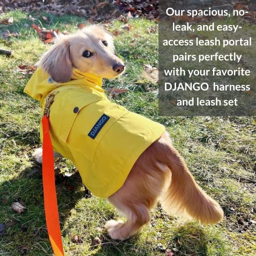 DJANGO Highland Dog Jacket and Raincoat - Water-Repellent, Windproof, and Harness-Friendly Hooded Winter Dog Coat & Raincoat with Adjustable Drawstrings & Gunmetal Hardware (Medium, Dandelion Yellow)