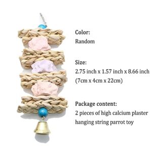 Litewoo Parrot Toy Bird Chew Toy High Calcium Plaster Hanging String Birdcage Accessories Suitable for Parrot Macaw African Grey Parrot Xuanfeng Parrot Bird Toy