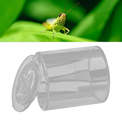 Acrylic Mini Reptile Tank Habitat Cricket Terrarium Reptile Breeding Case Circular with Top Cover for Spider Small Animals