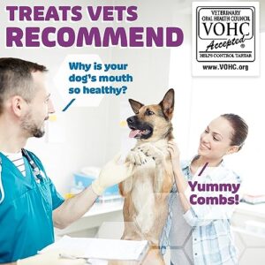 Yummy Combs Dog Dental Treats | Vet VOHC Approved | Protein Treat | Dental Care & Cleaning Comb Shape | Yummy Dog Treats | Dental Dog Treats for Small Dogs (12oz, 21 Count)