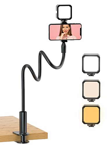 Phone Stand for Recording, 31 Inch Gooseneck Overhead Phone Mount with LED Light for Desk, 360° Rotation with Selfie Stands and Phone Holders for Video Recording, Live Streaming, YouTube Tiktok