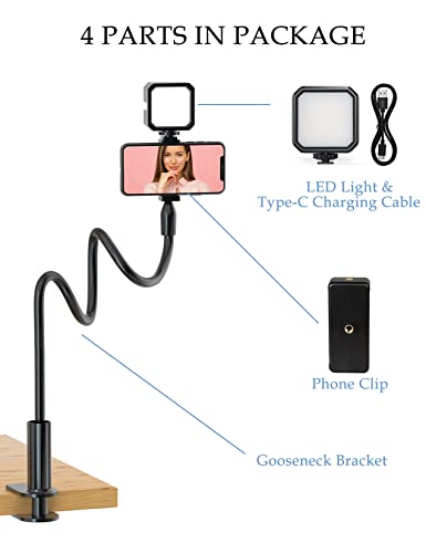 Phone Stand for Recording, 31 Inch Gooseneck Overhead Phone Mount with LED Light for Desk, 360° Rotation with Selfie Stands and Phone Holders for Video Recording, Live Streaming, YouTube Tiktok