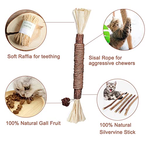 DuLaSeed Cat Toys, 2 Pack Natural Silvervine Sticks Chew Toys for Kittens Teeth Cleaning,Catnip Toys for Indoor Cats Interactive, Edible Kitty Toys for Cats Dental Care