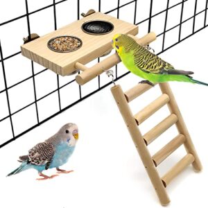 tfwadmx bird food stainless steel cups wooden perch stand hanging feeder bowls feeding and watering supplies for parakeets conures cockatiels budgie parrot