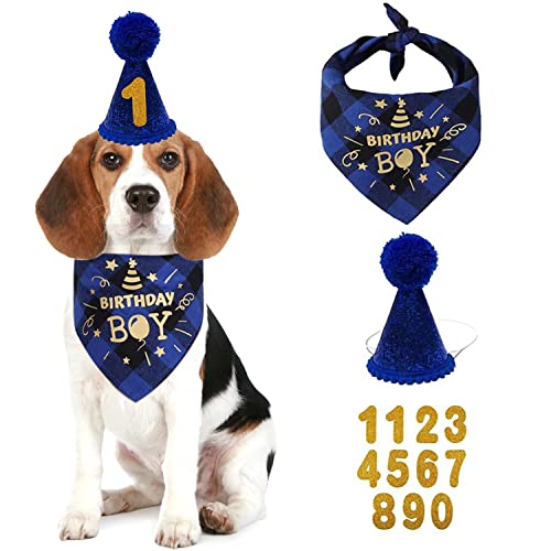 AULEGE Adorable Hat and Bandana Square Scarf for Dog Birthdays, Boy Dog Birthday Crown Hat for Small Medium Large Dog, Birthday Outfit and Decoration Supply Set, Royal Blue