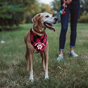 Ptzizi Funny Red Plaid Cotton Triangle Service Dog Bandana for Photograph Birthday Party Props Scarf Scarves Decorations, Pet Dog Lovers Owner Gift