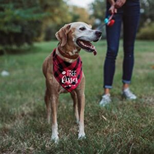 Ptzizi Funny Red Plaid Cotton Valentine's Day Triangle Dog Bandana, Small Medium Large Boys Girls Pet Dog Valentine's Day Wedding Holiday Party Decorations Scarf Bibs Gifts for Pet Dog Lovers