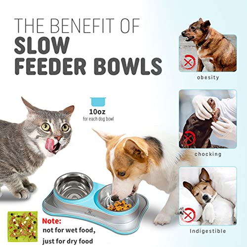 Slow Feeder Dog Bowls DOKIPETTY Stainless Steel Raised Dog Bowl for Small Sized Dogs Puppy Metal Dog Bowl and Water Bowl for Travel and Home