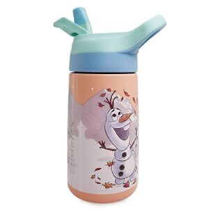 disney frozen stainless steel water bottle with built-in straw