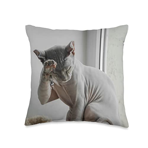 Cat Breed Gift Ideas Sphynx Cat Hairless Throw Pillow, 16x16, Multicolor