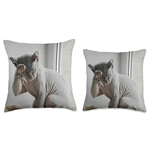 Cat Breed Gift Ideas Sphynx Cat Hairless Throw Pillow, 16x16, Multicolor