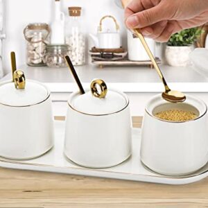 Foraineam Porcelain Sugar Bowl with Lid and Spoon Set of 3, Condiment Jar Coffee Bar Accessories, 8 oz Salt Server Spice Container Seasoning Box with Tray