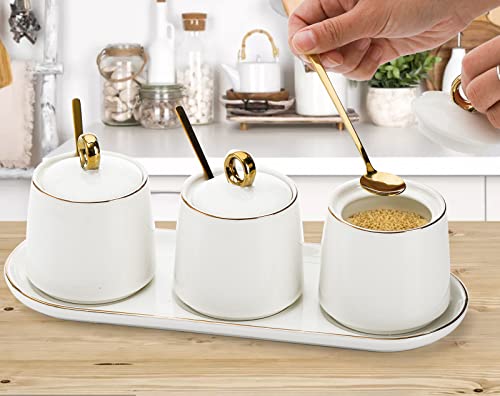 Foraineam Porcelain Sugar Bowl with Lid and Spoon Set of 3, Condiment Jar Coffee Bar Accessories, 8 oz Salt Server Spice Container Seasoning Box with Tray