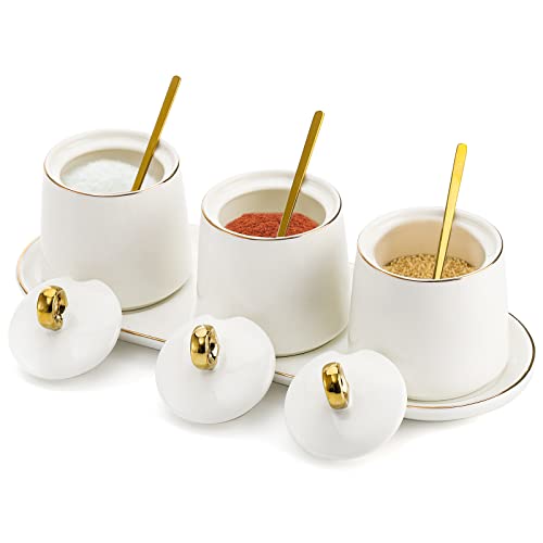 Foraineam Porcelain Sugar Bowl with Lid and Spoon Set of 3, Condiment Jar Coffee Bar Accessories, 8 oz Salt Server Spice Container Seasoning Box with Tray