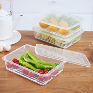 Frcctre Set of 5 Fridge Produce Saver Food Storage Containers Stackable Refrigerator Organizer Bins with Removable Drain Plate and Lid to Keep Produce Fruits Vegetables Meat Egg Fish, 2 Sizes