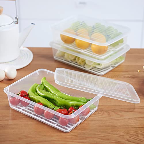 Frcctre Set of 5 Fridge Produce Saver Food Storage Containers Stackable Refrigerator Organizer Bins with Removable Drain Plate and Lid to Keep Produce Fruits Vegetables Meat Egg Fish, 2 Sizes