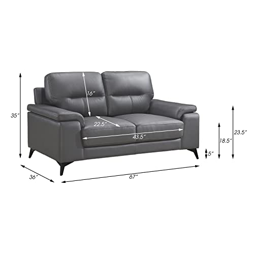 Lexicon Danica Top Grain Leather Loveseat, Dark Gray