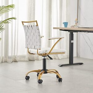 Hioryllks White and Gold Chair Modern Office Chair Gold and White Desk Chair White and Gold Computer Chair Leather Cute Desk Chair with arms (3013 Gold White)