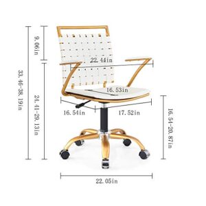 Hioryllks White and Gold Chair Modern Office Chair Gold and White Desk Chair White and Gold Computer Chair Leather Cute Desk Chair with arms (3013 Gold White)