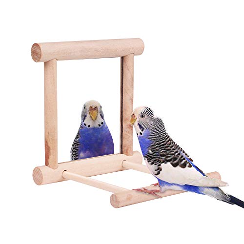 HAPPTYTOY 2Pcs Bird Mirror Fun Play Toy for Budgies Small Parrot Parakeets Love Birds Cage Swing Wooden Toy for Birds (2Pcs)