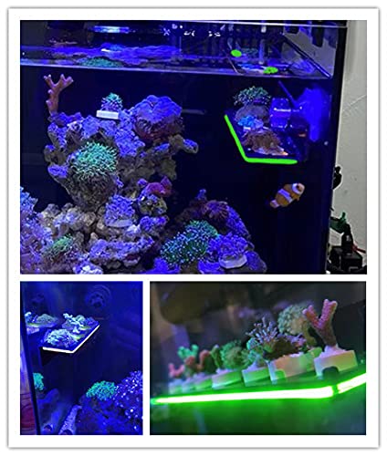 Coral Frag Holder Acrylic Coral Rack with Powerful Double Suction Cup and Placstic Screws Suitable for Household Fish Tanks (2pcs 3 Plug Hole,Fluorescent Green and Orange)