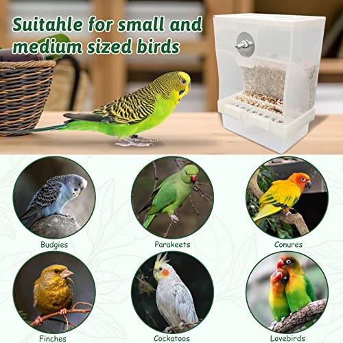 Tfwadmx No Mess Automatic Bird Feeders Cockatiel Food Dispenser Bowls Seed Container Parrot Dishes Parakeet Cage Accessories Birdfeeder with Divider for Canary Finch Conure Lovebirds 2Pcs