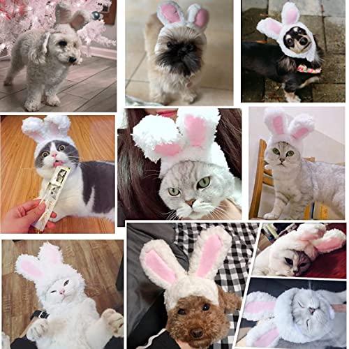 Cat Cute Costume Pet Plush Bunny Ears, Puppy Rabbit Headband Ear Hats, Snug Bunny Warm Hat with Ears for Cats Puppies and Small Dogs, Easter/Halloween/Party Cosplay (Pink, Bunny Ears)