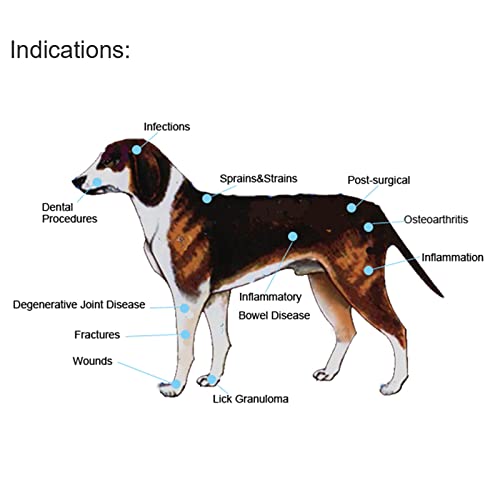 iKeener Vet Device for Pets,Red Light Therapy for Pain Relief,Muscle & Joint Pain from Dog Arthritis,Handheld Infrared Light with 660nm & 850nm Wavelengthsm for Dogs,Cats,Horses (Gold)