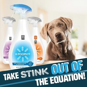 Pooph Pet Odor Eliminator, 32oz Spray - Dismantles Odors on a Molecular Basis, Dogs, Cats, Freshener, Urine, Poop, Pee, Deodorizer, Natures, Puppy, Fresh, Clean, Furniture, Potty, Safe