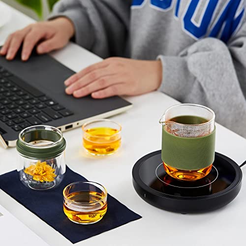 DOPUDO SPARROW Glass Tea Set, Portable Small Gongfu Teapot with 1 Infuser, 2 Cups and 1 Master Mug, All in One Water Resistant Case for Travel, Business Trip, Hotel