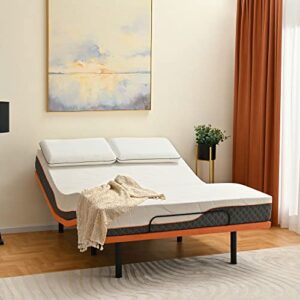 Adjustable Bed Frame Queen - Easy to Install in 5 Minutes, Adjustable Bed for Massage, Zero Gravity, Under Bed Lights, Wireless Remote, Foot&Head Incline, Smart Bed, 3000 Premium Series