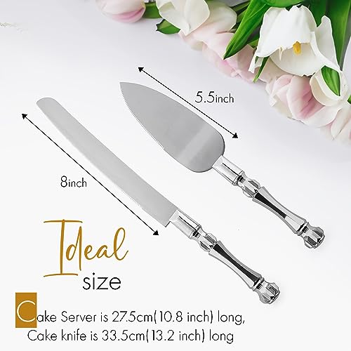 Homi styles Cake Knife and Server - Wedding Cake Knife Set - Serving Set for Receptions, Birthdays - Cake Cutting Set - Match the Color to Your Event Theme - Cake Knife and Cutter (Silver)