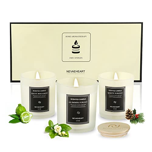 NEVAEHEART Candles for Home Scented, 3.5OZ x 3 Packs Scented Candle Set, Misty Forest | Glimmer Forest | Ebony Bergamot, Candle Gift Set for Women, Natural Soy Wax, Home Fragrance with Gift Box