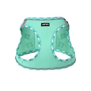 AMTOR Dog Harness with Leash Set,No Pull Adjustable Reflective Step-in Puppy Harness with Padded Vest for Extra-Small/Small Medium Large Dogs and Cats(Green,S)