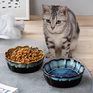 SIDUCAL Ceramic Cat Bowls, 5 Inch Cat Bowls for Food and Water, Non-Slip Cute Pet Feeding Bowls for Cats and Small Dogs, Nice Glazed, Oven Microwave Dishwasher Safe(Blue/Green-2 Packs)