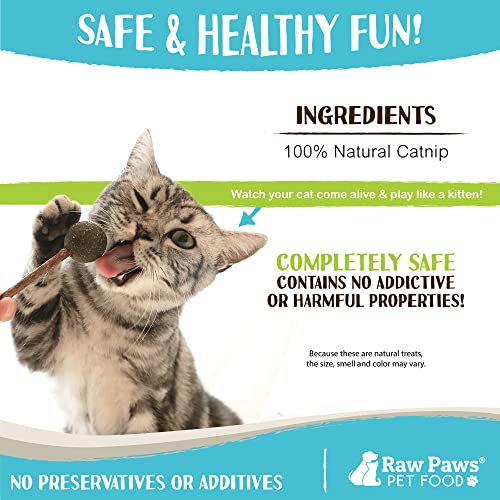 Raw Paws Catnip Lollipops, 6 ct - Cat Toys for Indoor Cats, Interactive Cat Toy, Catnip Toys, Silvervine Cat Toy, Silvervine for Cats, Cat Kicker Toy, Catnip Ball, Cat Ball Toy, Catnip Lolli-pops