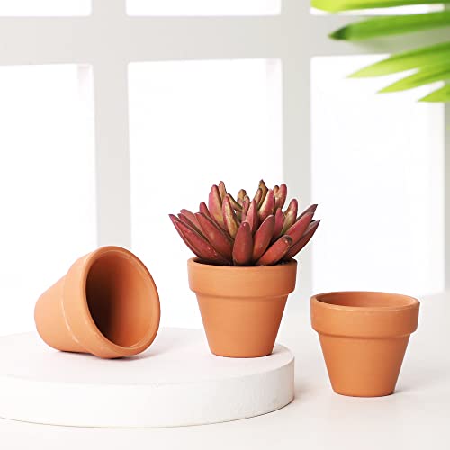 Yishang 1.9 Inch Tiny Terracotta Pots Pack of 12-Small Mini Clay Pots with Drainage Holes Flower Nursery Terra Cotta Planter for Tiny Cactus Herb lithop,Succulent Plants,Crafts,Wedding Favor