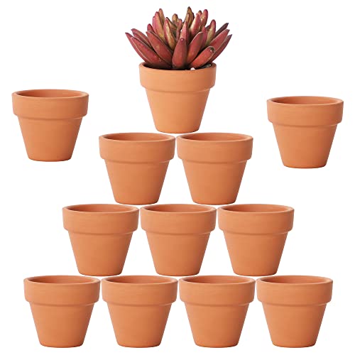 Yishang 1.9 Inch Tiny Terracotta Pots Pack of 12-Small Mini Clay Pots with Drainage Holes Flower Nursery Terra Cotta Planter for Tiny Cactus Herb lithop,Succulent Plants,Crafts,Wedding Favor