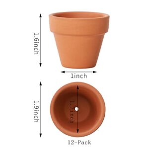 Yishang 1.9 Inch Tiny Terracotta Pots Pack of 12-Small Mini Clay Pots with Drainage Holes Flower Nursery Terra Cotta Planter for Tiny Cactus Herb lithop,Succulent Plants,Crafts,Wedding Favor